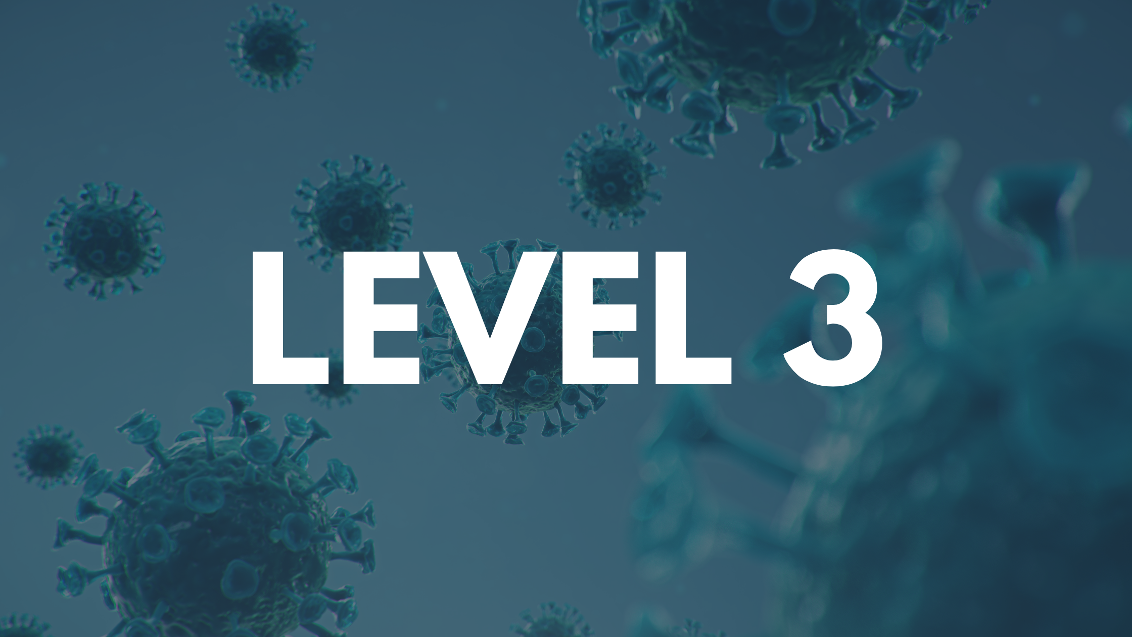 What Does Level 3 Restrictions Mean What Does Level 3 Restrictions Mean